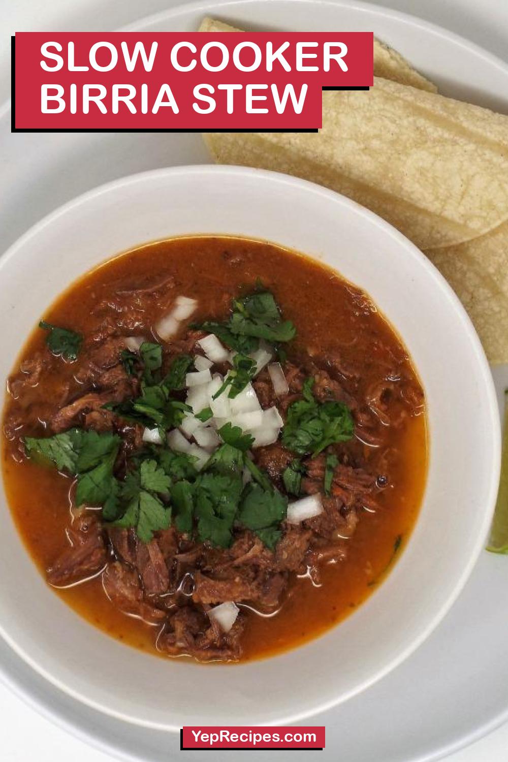 Slow Cooker Birria Stew Recipe | YepRecipes